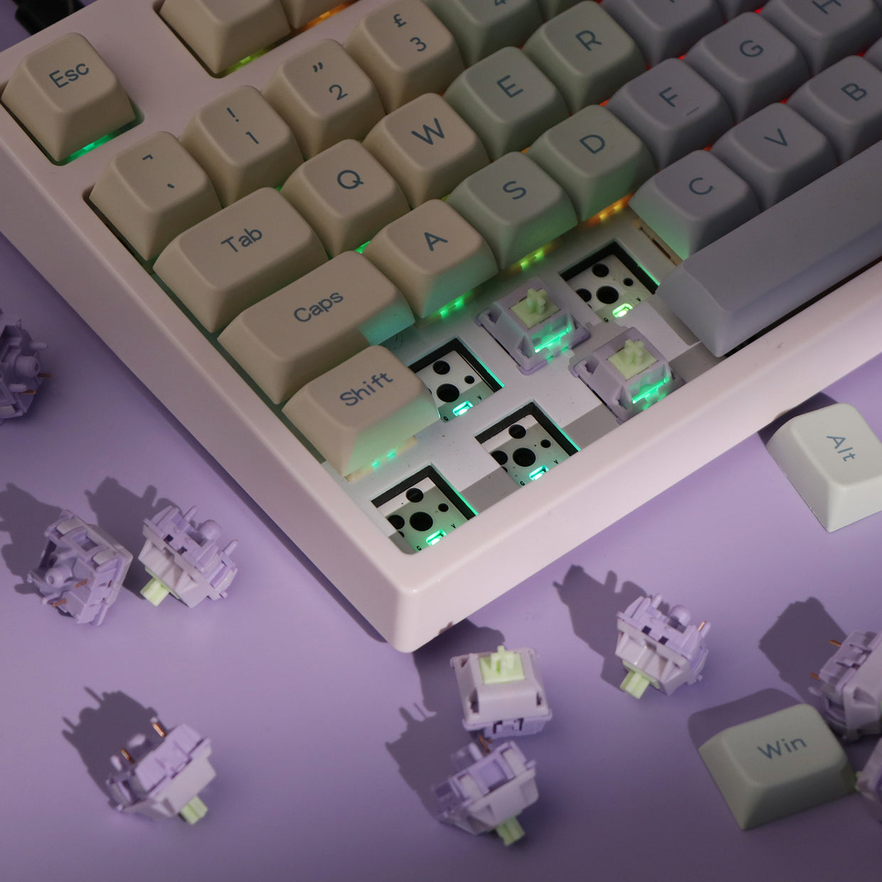 EPOMAKER Wisteria Switches Set – epomaker